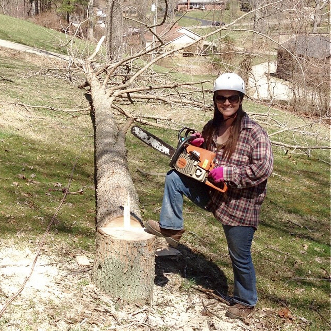 Tree Removal with Mechanical Rigging: Branch Management